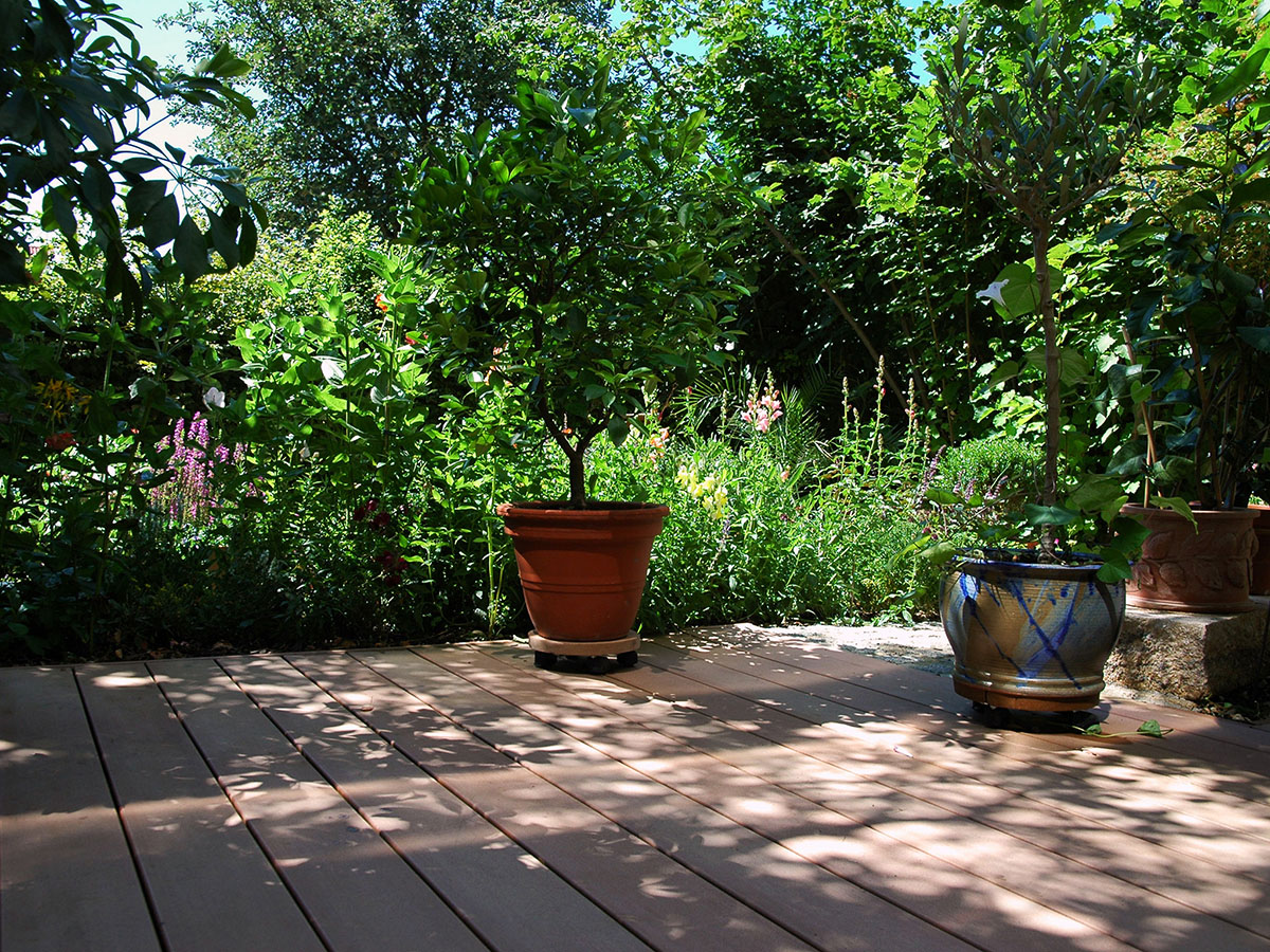 Ideen & Tipps zur Terrassengestaltung mit Pflanzen